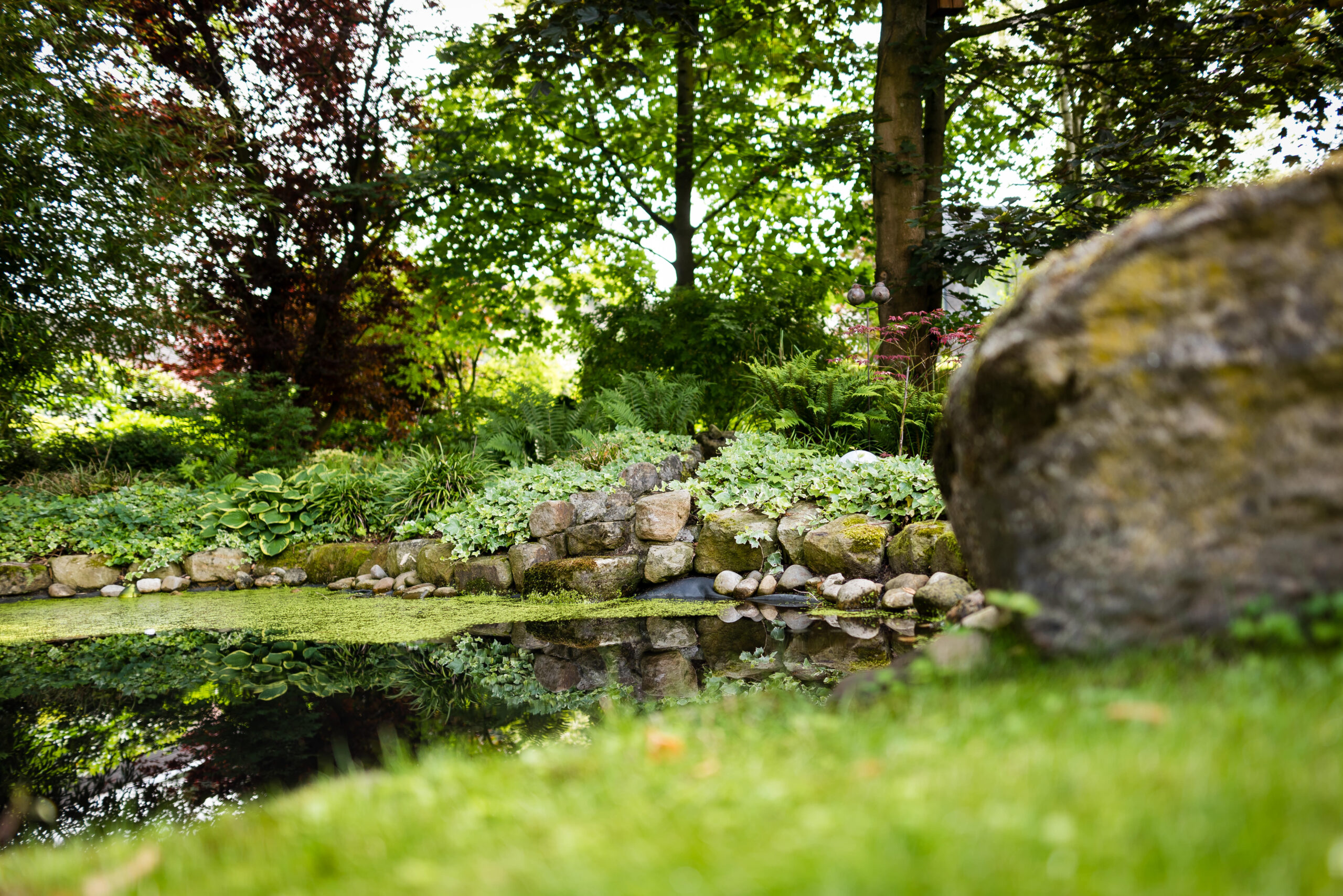 Pools & Teiche - De Grashoppers